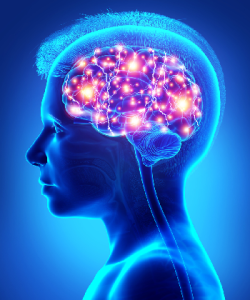 The Genius Wave Review: I Tried It! Does It Really Work?